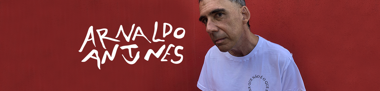 Arnaldo Antunes - Conheça a coleção